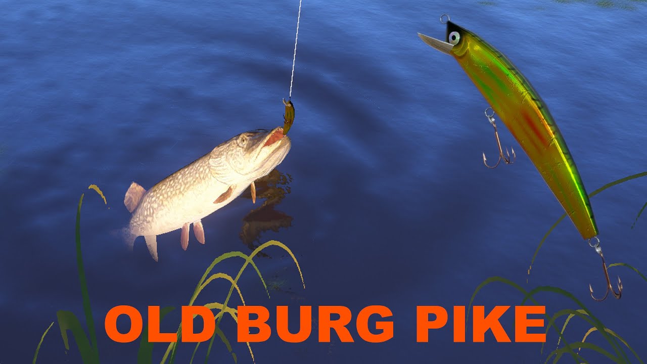 Russian Fishing 4 | Old Burg - PIKE SZCZUPAK | RF4 SPOT #36 - YouTube