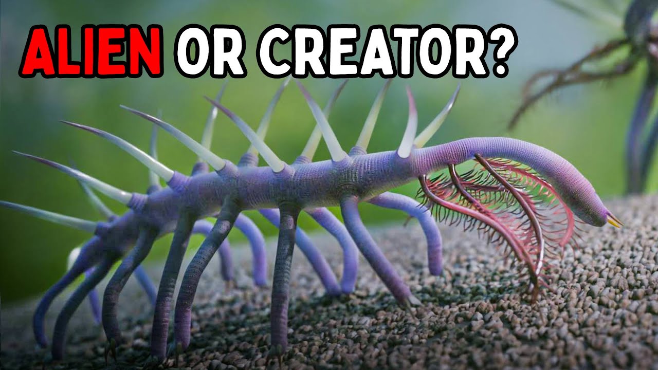 Hallucigenia And The Tully Monster – From Another World Or God’s Design ...