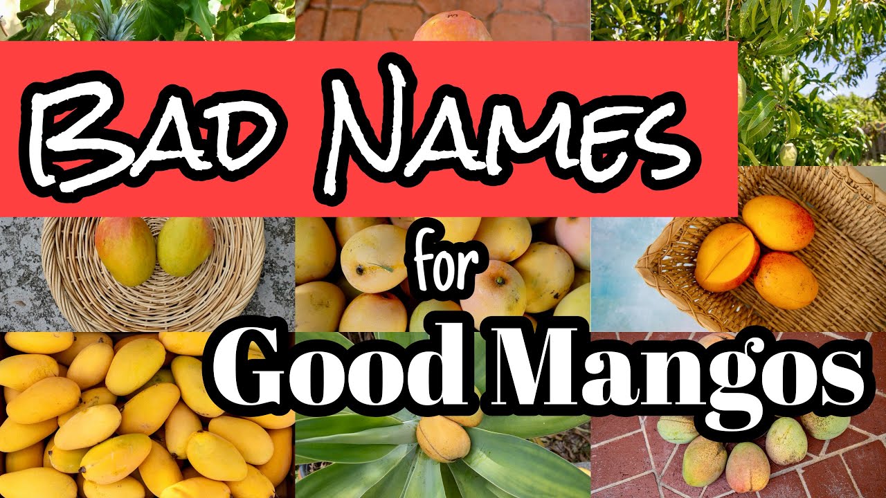 Bad Names for Good Mangos - YouTube