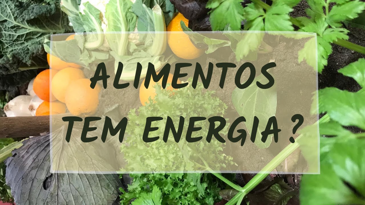 Alimentos tem energia? Sim!!! Saiba tudo! :) - YouTube