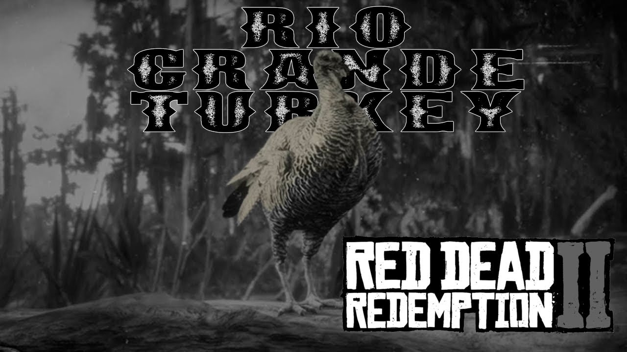 Red Dead Redemption 2 - Rio Grande Wild Turkey Spawn Location - YouTube