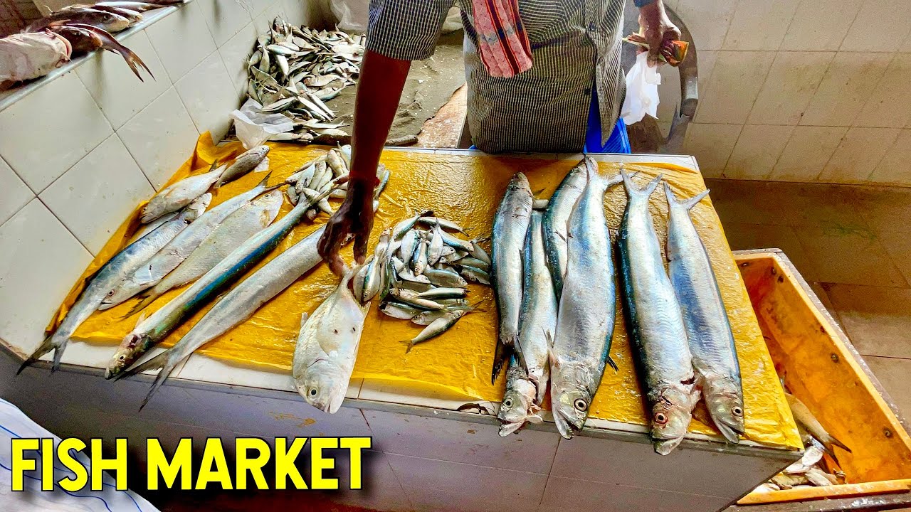 யாழ்ப்பாணத்தின் சங்கானை மீன் சந்தை / Amazing Fish Market / Jaffna ...