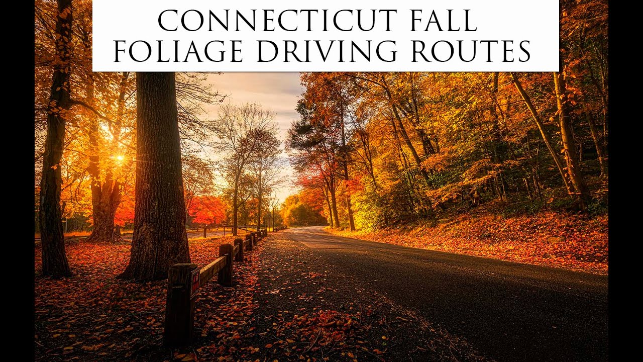 Best Fall Road Trips in Connecticut 🚗🍂 - YouTube