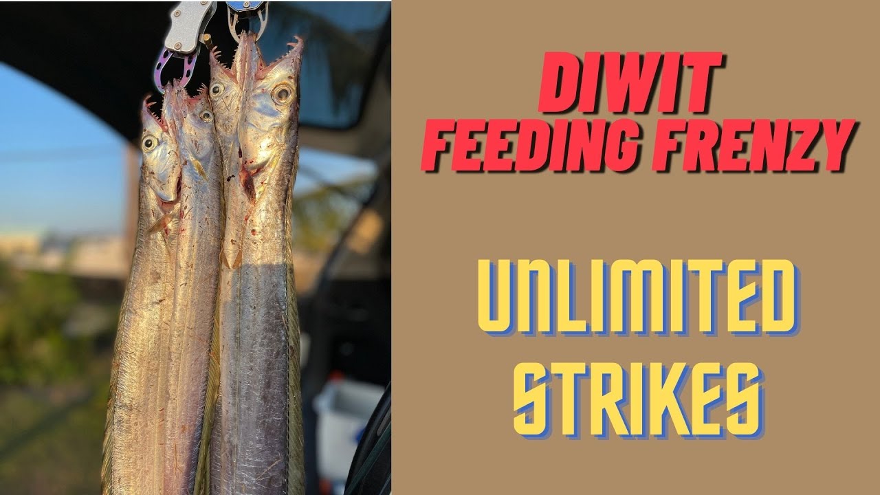 ULTRALIGHT FISHING | Diwit Feeding Frenzy | Unlimited Strikes | Porter ...