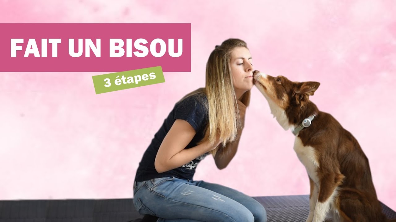 {Tuto Tricks} Apprendre à son chien à nous faire un BISOUS - YouTube