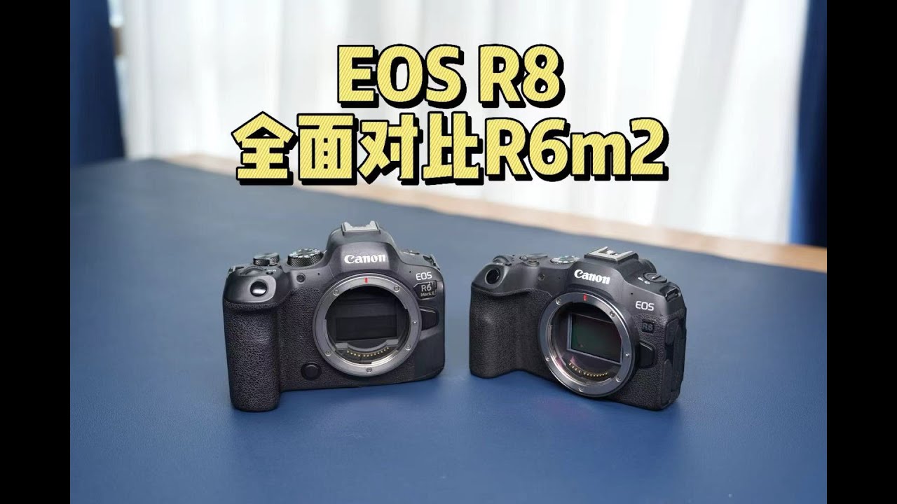 佳能EOS R8全面对比R6m2｜同门竞争！价格与性能该怎么选？ - YouTube