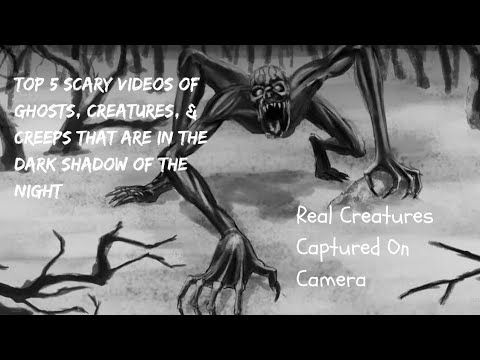 Top 5 SCARY Videos of GHOSTS, Creatures, & CREEPS THAT ARE IN THE DARK ...