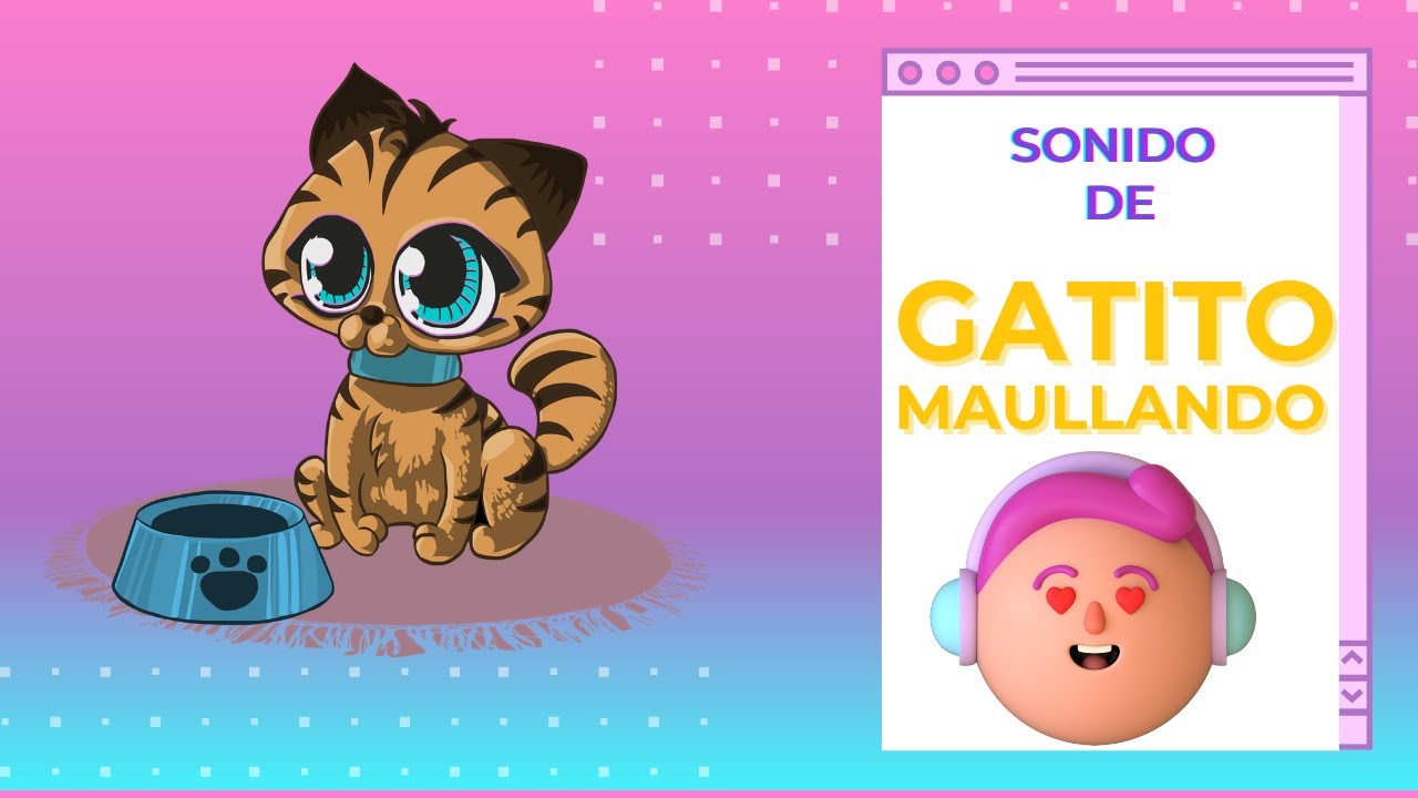 Sonido de GATITO MAULLANDO🐈💓 - YouTube