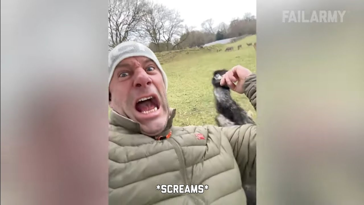 Fail Army: Ouch! Funny Fails Of The Week REACTION - YouTube