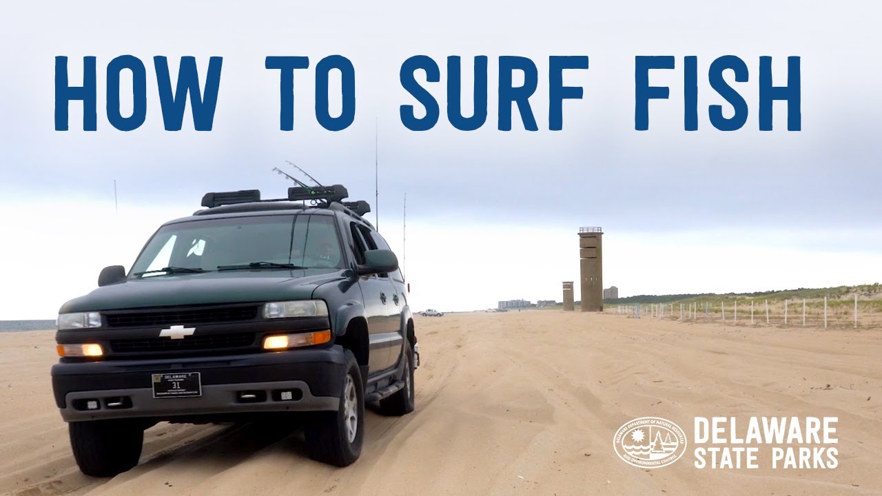 Surf Fishing at Delaware State Parks - YouTube