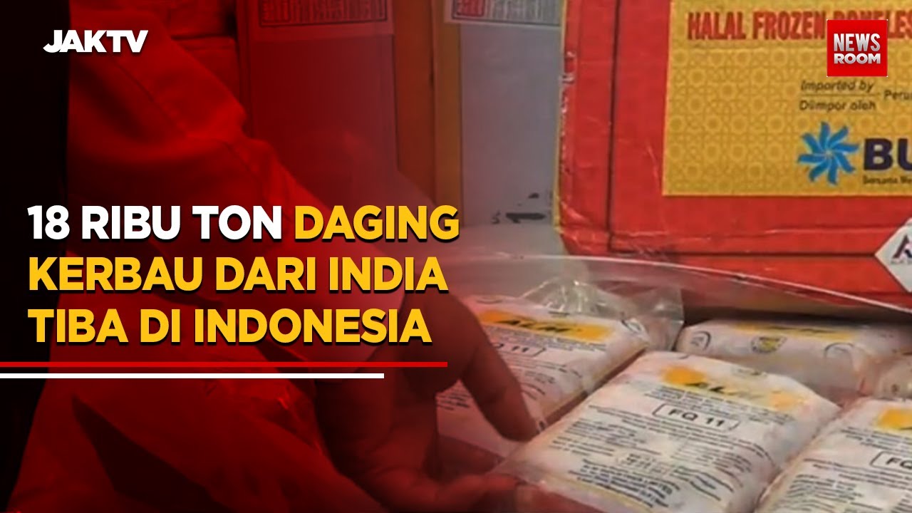 18 Ribu Ton Daging Kerbau Dari India Tiba Di Indonesia - YouTube