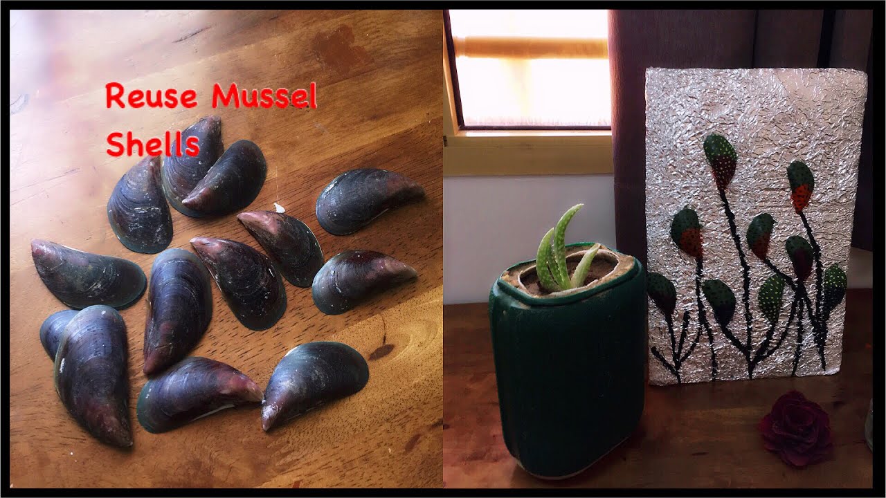 How To Recycle /Reuse Mussels Shells Wall DECOR/Best Out Of Waste/ AFZ ...