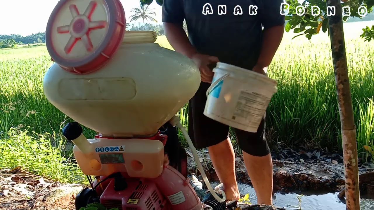 Cara menggunakan mesin Blower spray untuk menyemburkan racun serangga ...