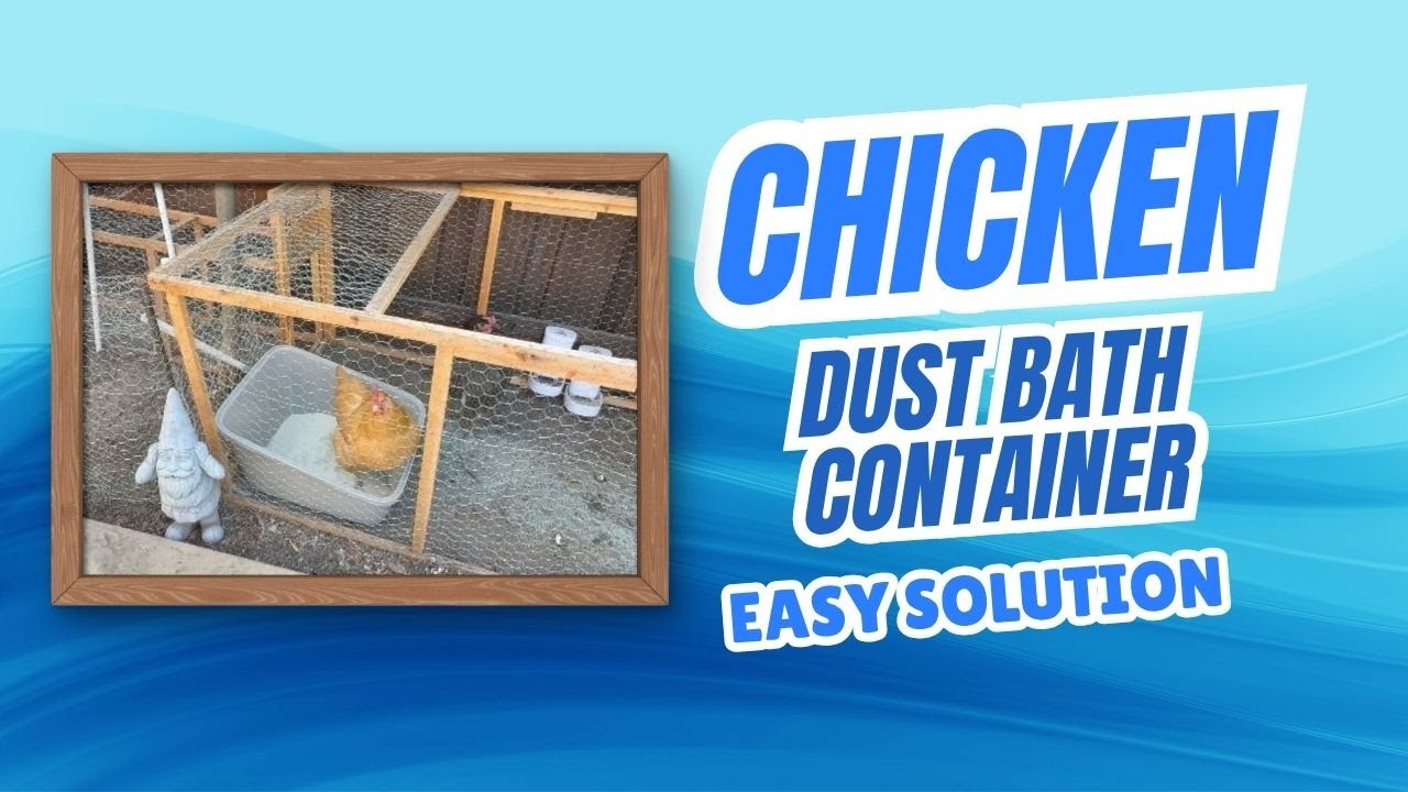 Chicken Dust Bath Container, Bathing for Your Backyard Flock, Simple ...
