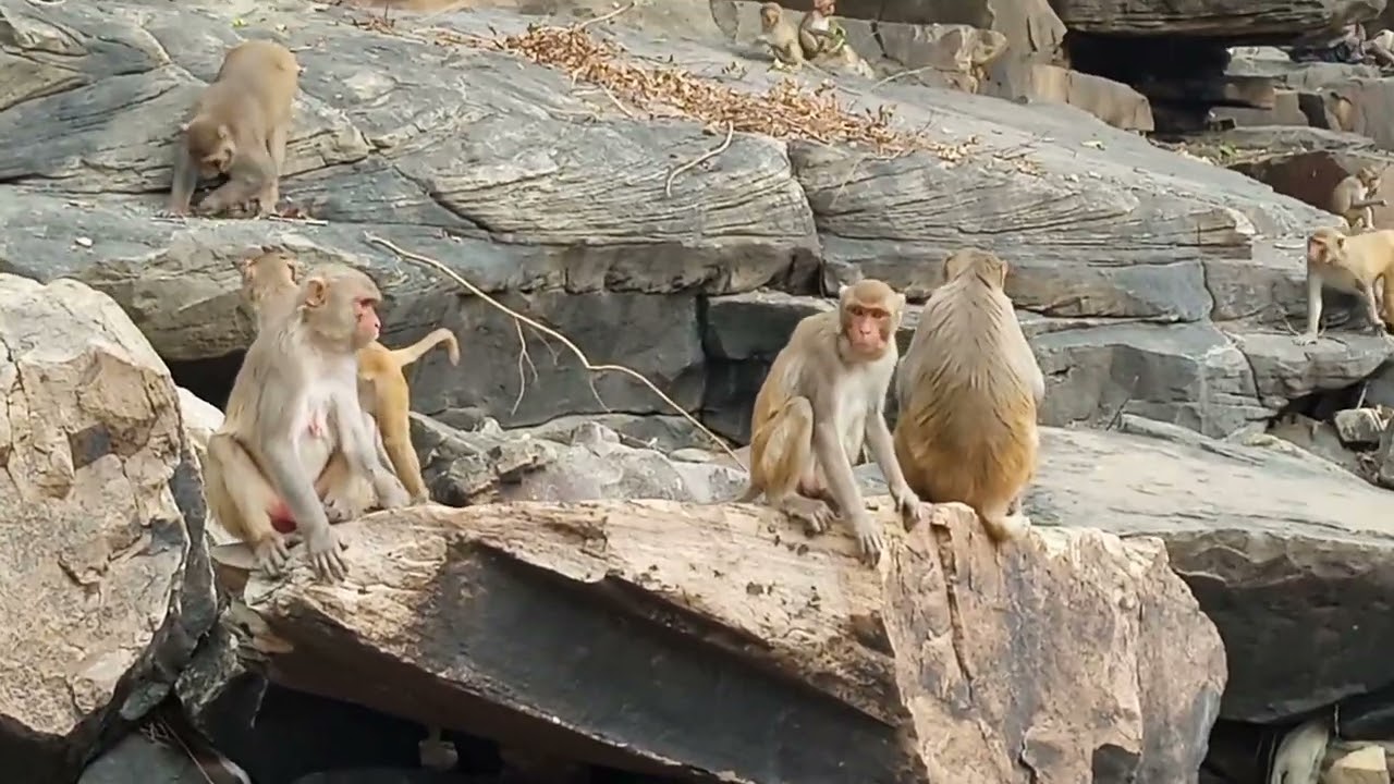 Mukkha Falls, Robertsganj, Ghorawal, Sonbhadra (Uttar Pradesh) best ...