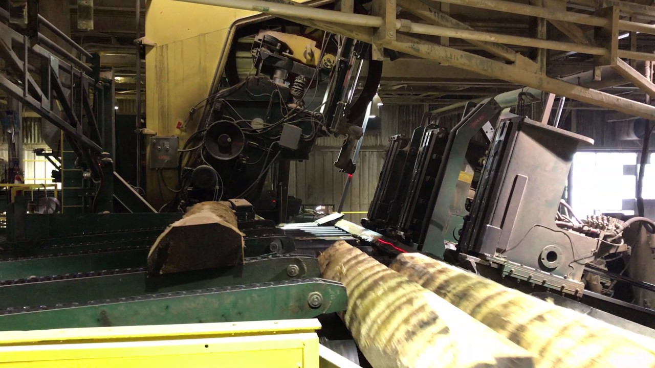 How the Quartersawing Process Starts - YouTube