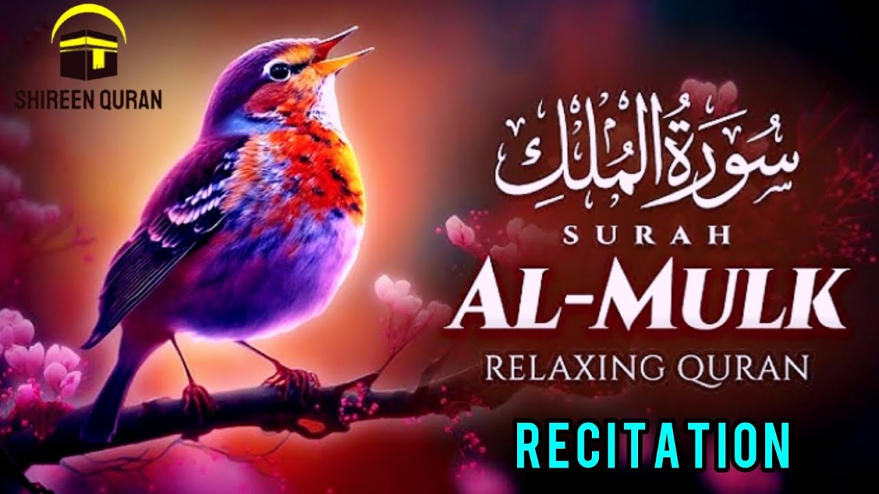 SURAH AL MULK l part 0668 l Full With Arabic l amazing quran recitation ...