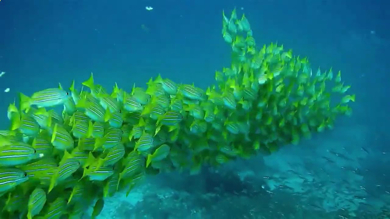 Amazing Visuals - YouTube