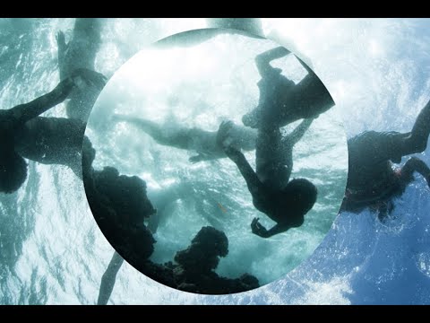 Heather Houser: Rethinking Reproduction in Climate Crisis - YouTube