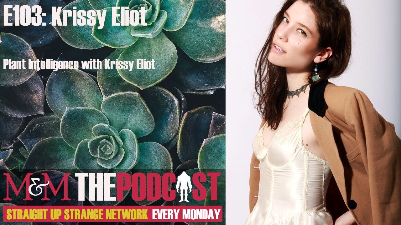 Mysteries and Monsters: Episode 103 Plant Intelligence with Krissy Eliot - YouTube