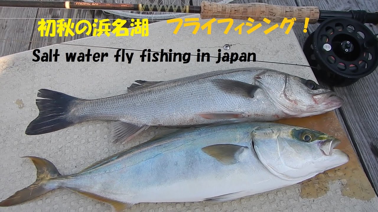 浜名湖フライフィッシング【ソルトフライ】Salt water fly fishing in Lake Hamana! - YouTube