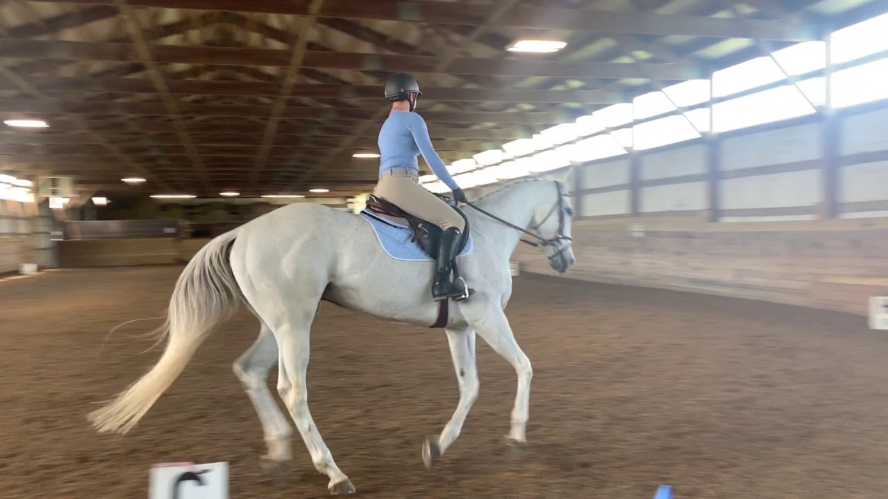 E-Riders, May 2020: Caroline Witt - E-Riders Eventing BD 90 Test 92 ...