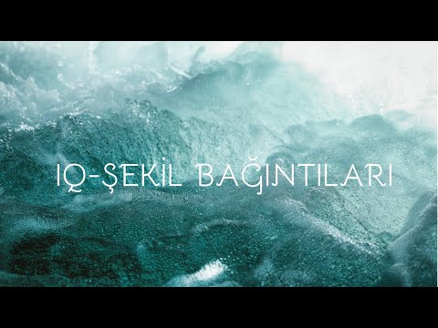 IQ - ŞEKİL BAĞINTILARI 2