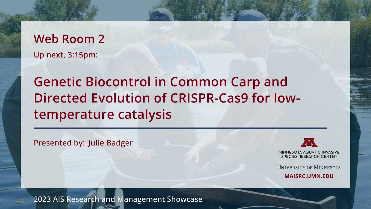 Web Room 2: Genetic Biocontrol in Common Carp - YouTube