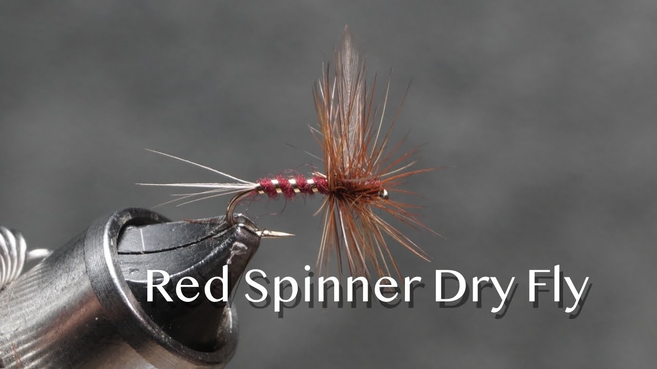 The (Great) Red Spinner as a dry fly - YouTube