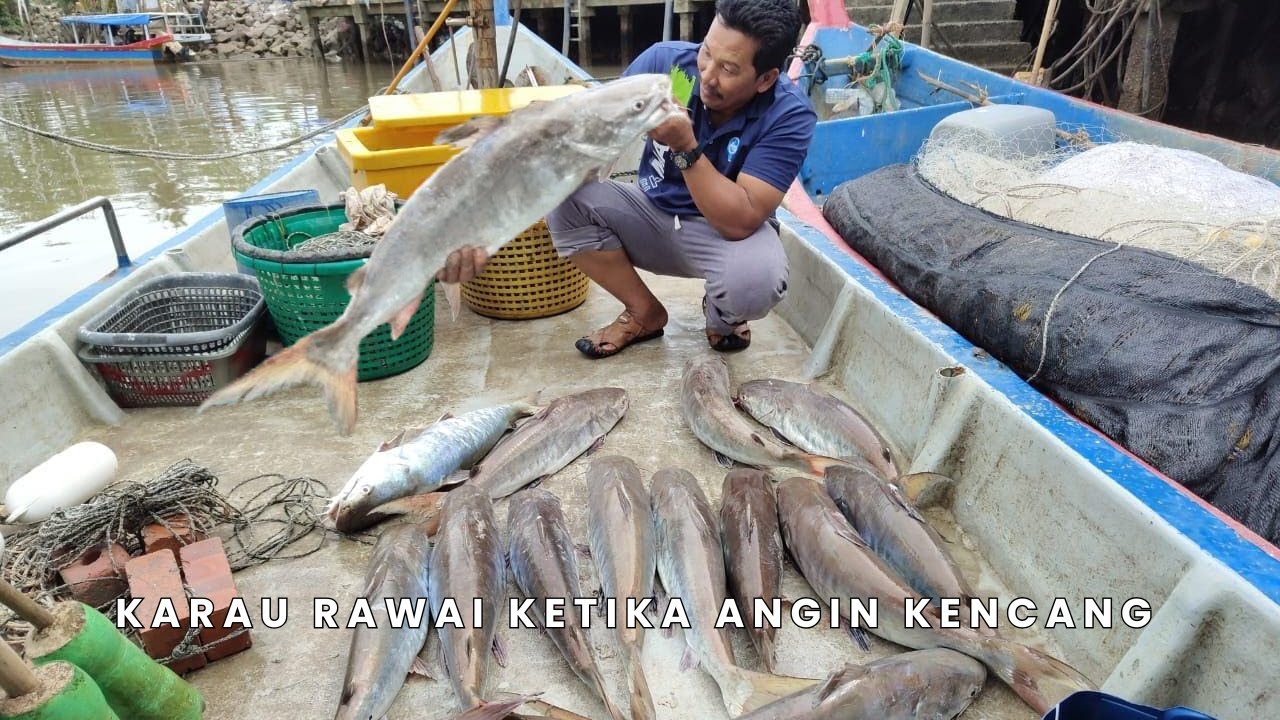 KARAU RAWAI KETIKA ANGIN KENCANG DAPAT IKAN BESAR - BESAR BAS. DAILY ...