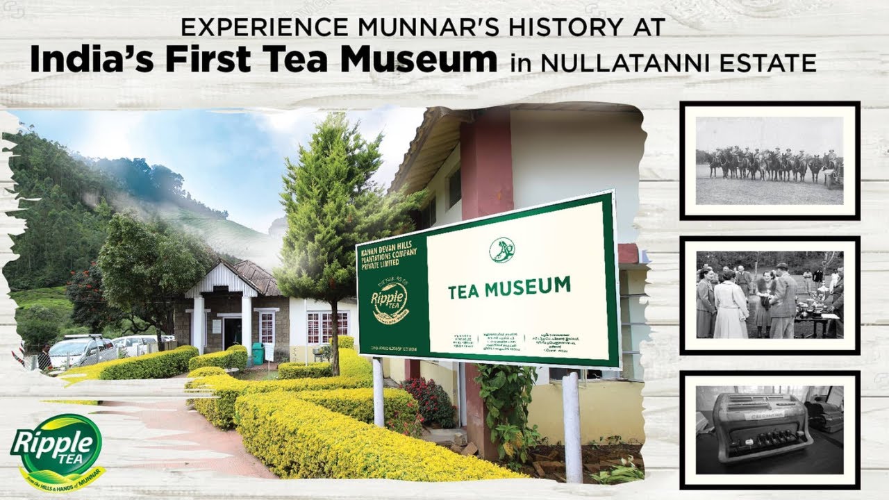 Steeped in History: Exploring Munnar's Enchanting Tea Museum | Kerala ...