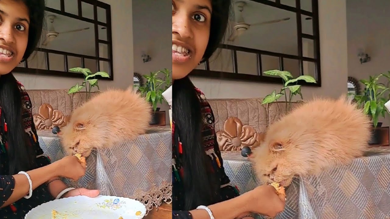 রুচির দুর্ভিক্ষ!!! Funny, Comedy - YouTube