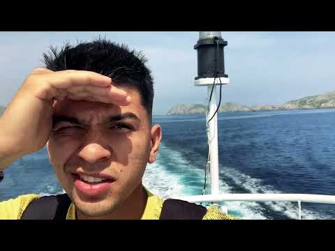 Johnny Gaviota - LECHERIA (Video Oficial)