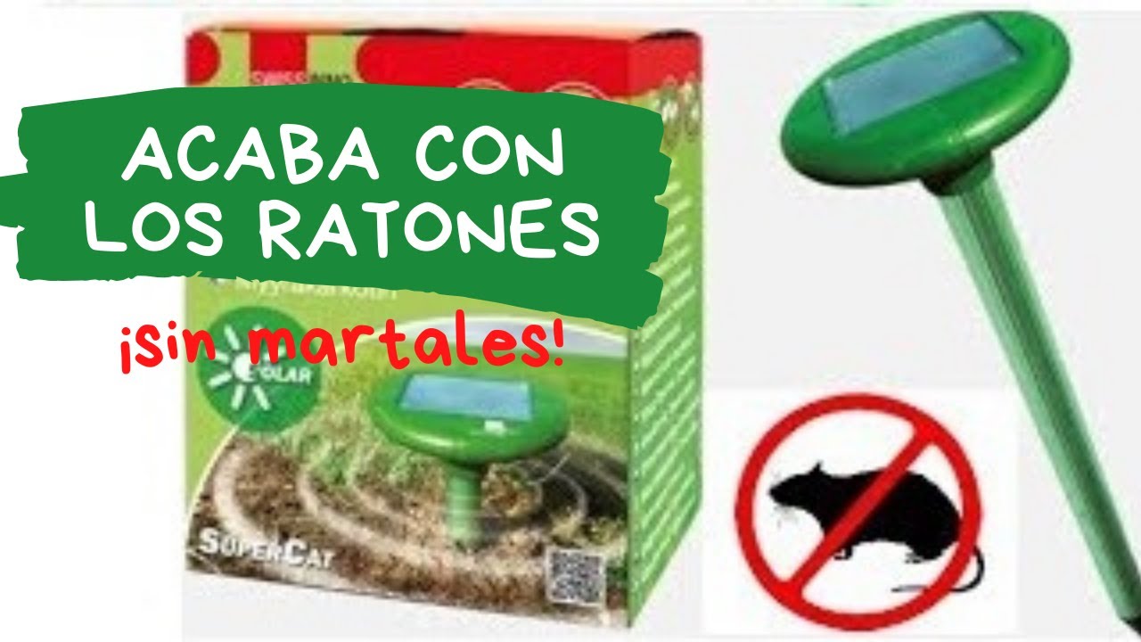 Como eliminar ratones y ratas rápido en casa de forma ecológica - YouTube