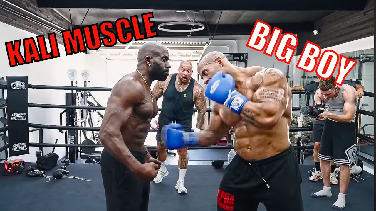 Boxing session with BIG BOY, KALI MUSCLE and STRENGTH CARTEL - YouTube