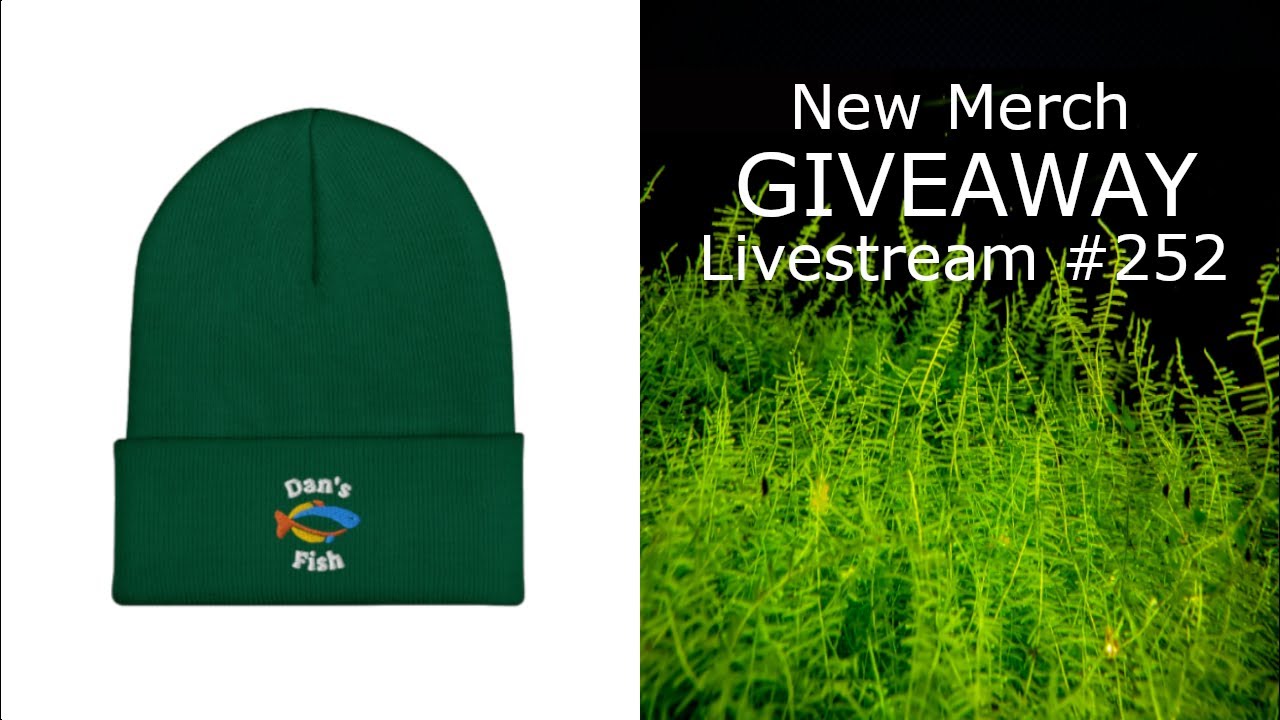 New Merch Giveaway - Ep. 252 - YouTube