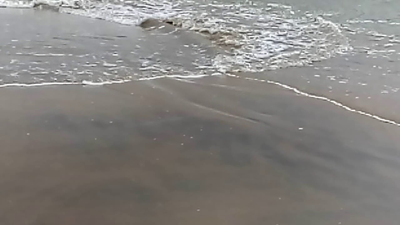 Antarvedi||Godavari River Merging into Sea||Anna chellila Gattu - YouTube