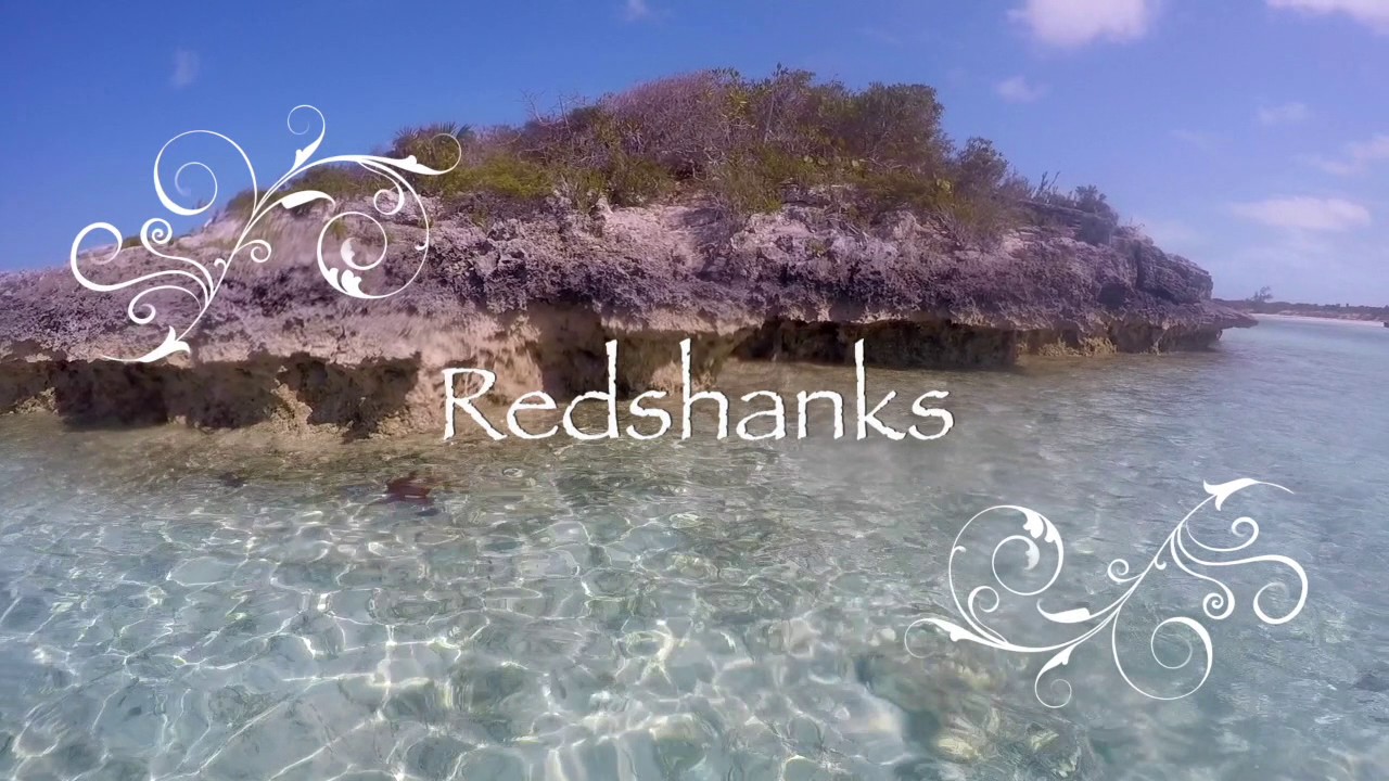 Exumas: Big Major's, Black Point Settlement, George Town and Redshanks ...