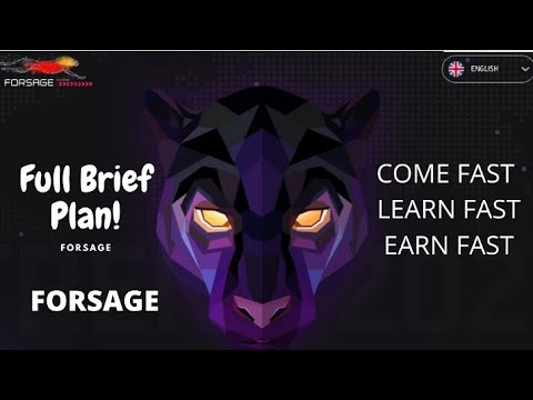 Forsage full details plan in hindi, Forsage detail plan - YouTube