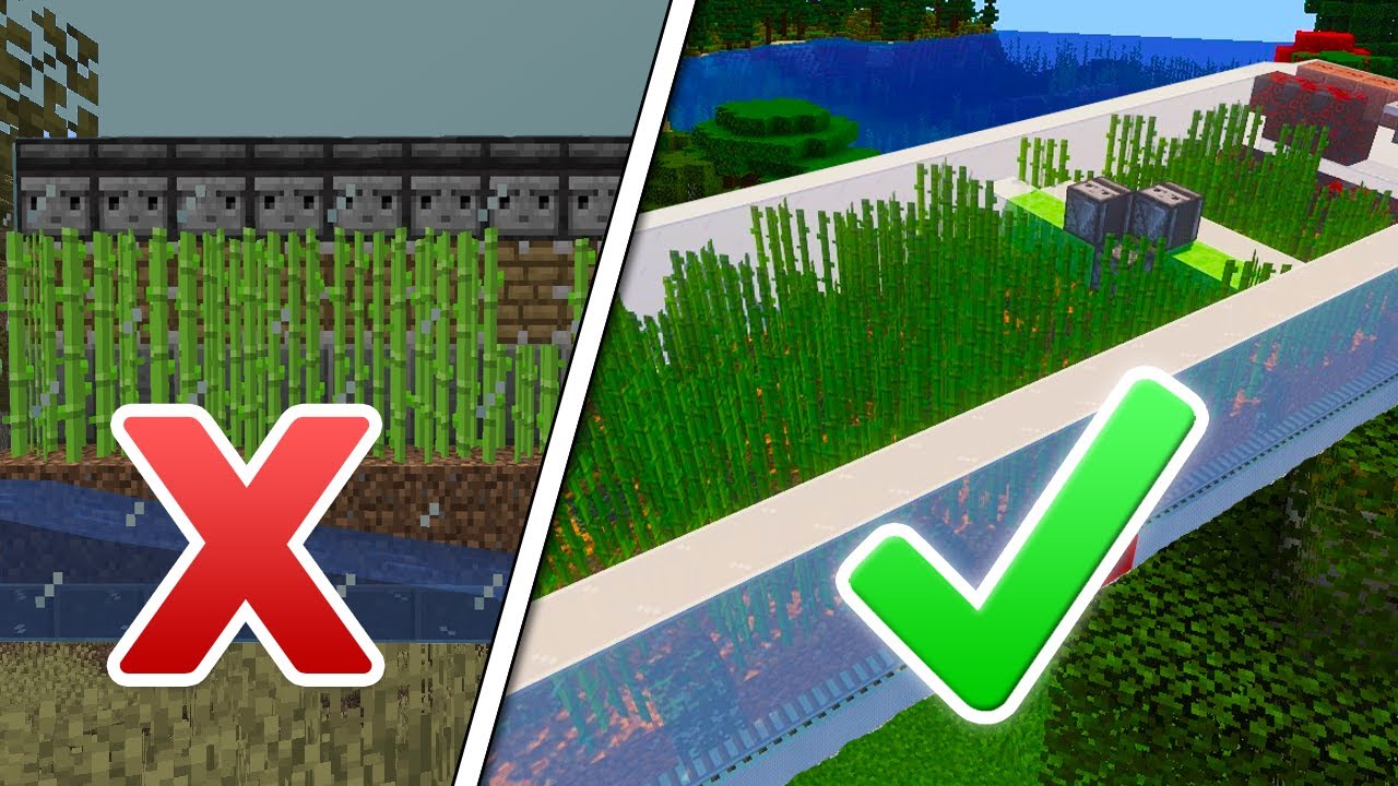 What Is The Best Sugarcane Farm? Minecraft Tutorial - YouTube