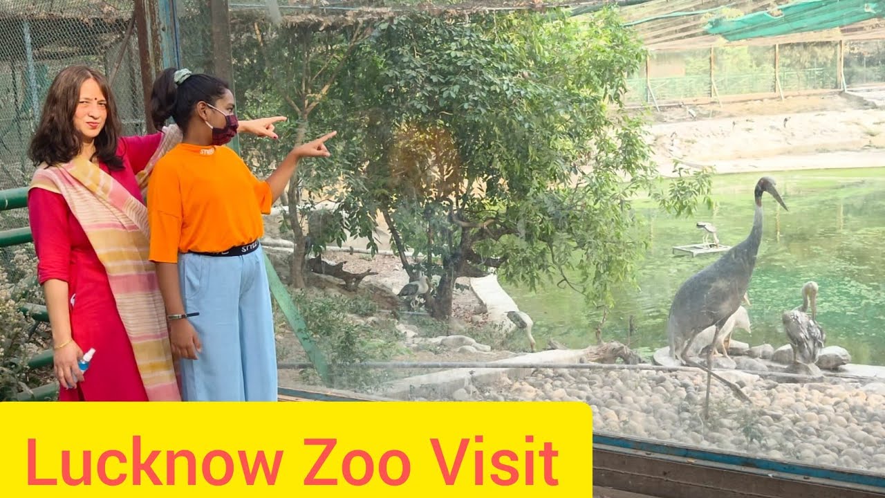 Lucknow Zoo,is one of the famous Zoo of UP state. लखनऊ का चिड़िया घर ...