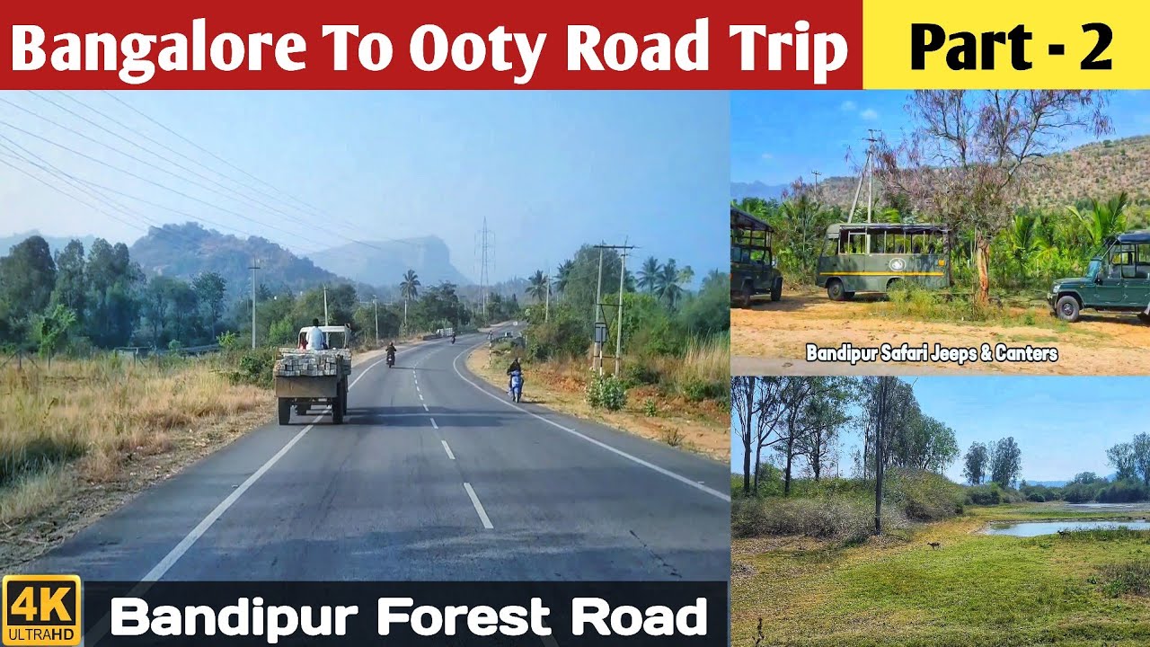 bangalore to ooty road trip | ooty trip | bandipur national park ...