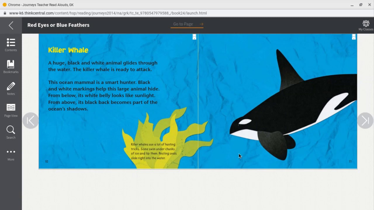 Journeys Kindergarten Lesson 24 Read Aloud - Red Eyes or Blue Feathers ...
