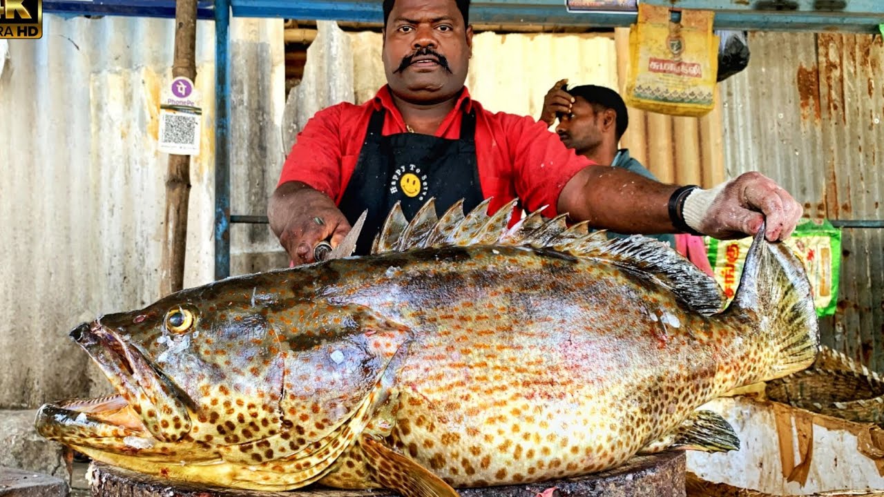 KASIMEDU 🔥 SPEED SELVAM | GIANT DOT GROUPER FISH CUTTING VIDEO | 4K ...