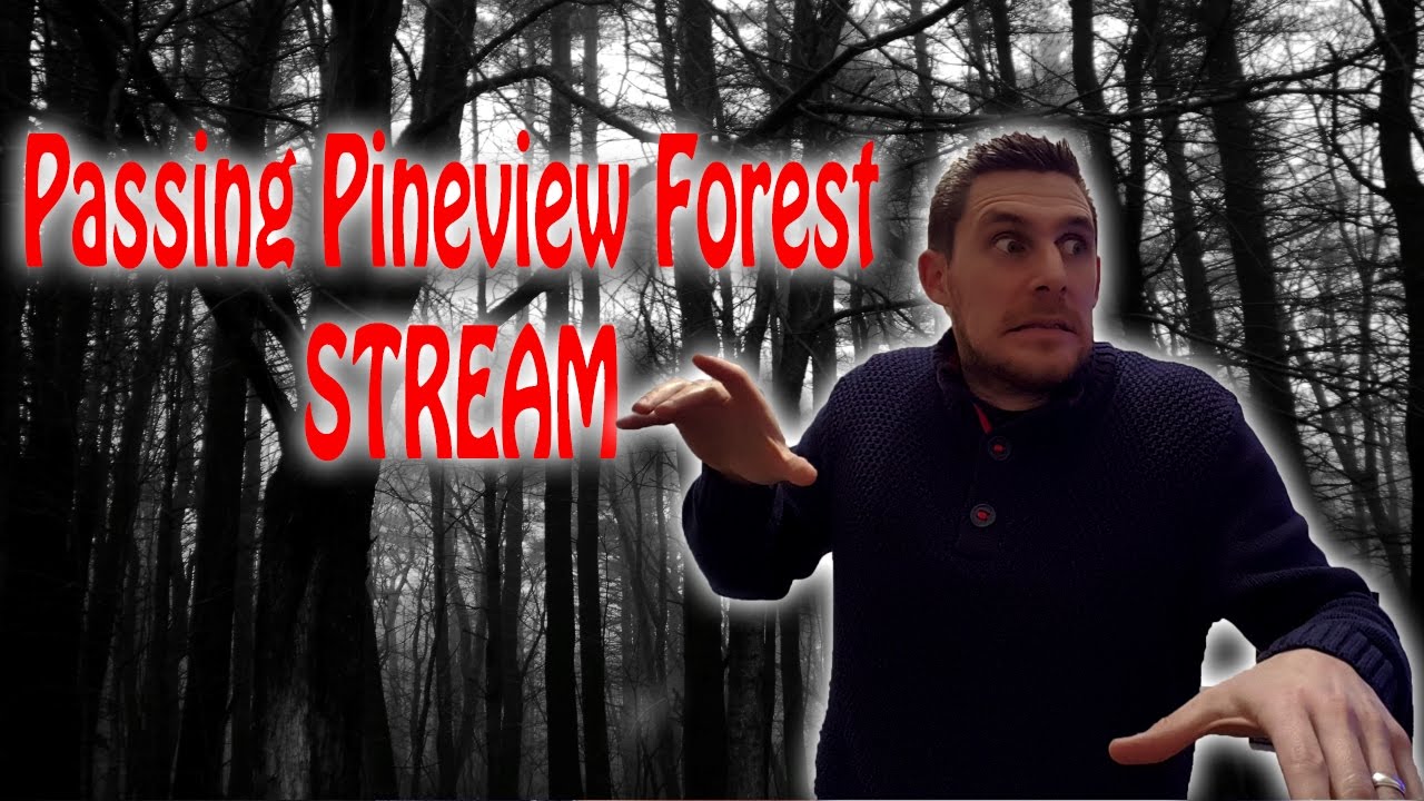 Passing Pineview Forest Stream/Pineview Drive - YouTube