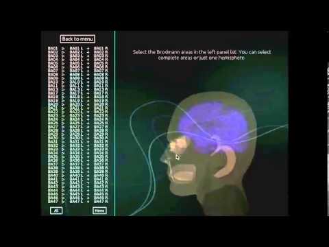 Evoke Neuroscience Neurofeedback Demo1 - YouTube