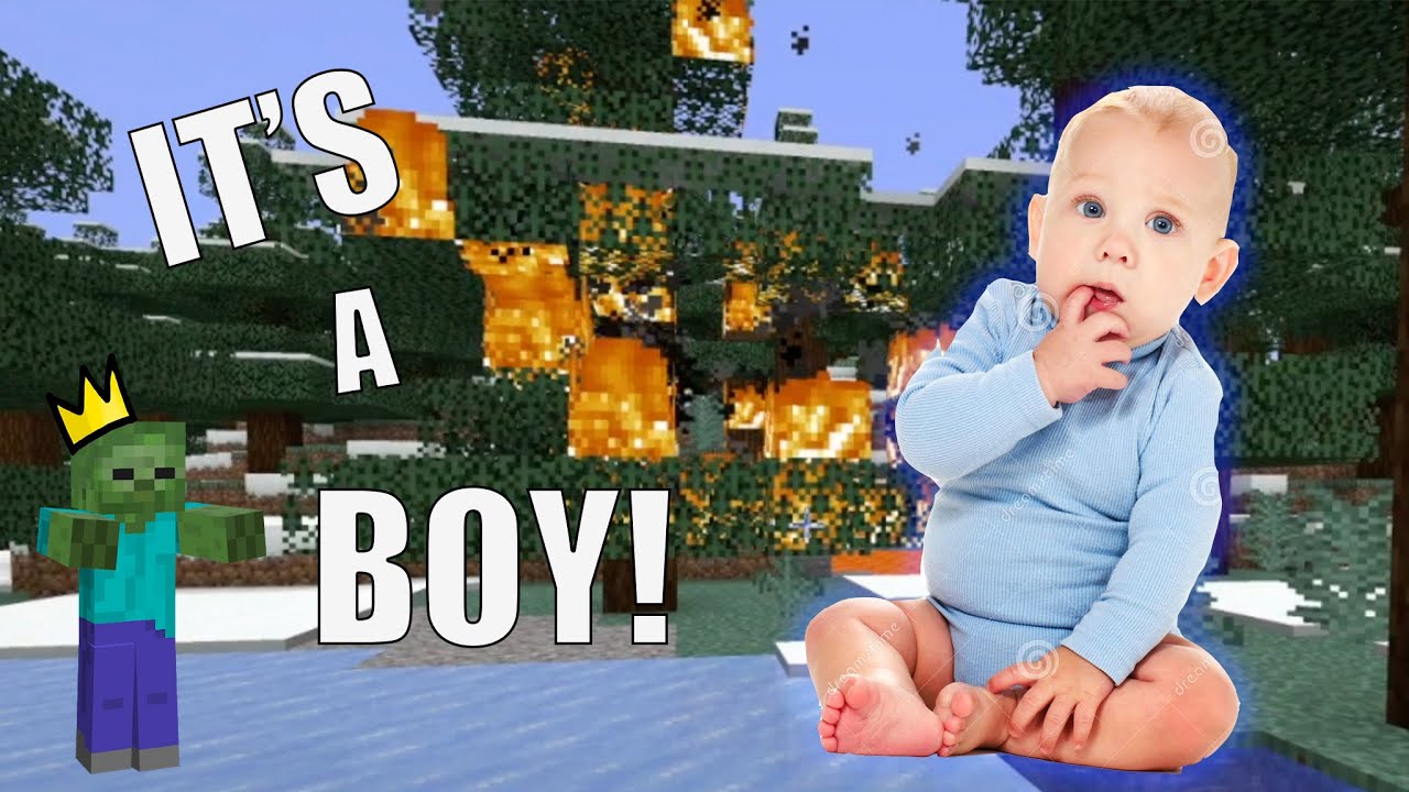 I HAD A GENDER REVEAL PARTY IN MINECRAFT - YouTube