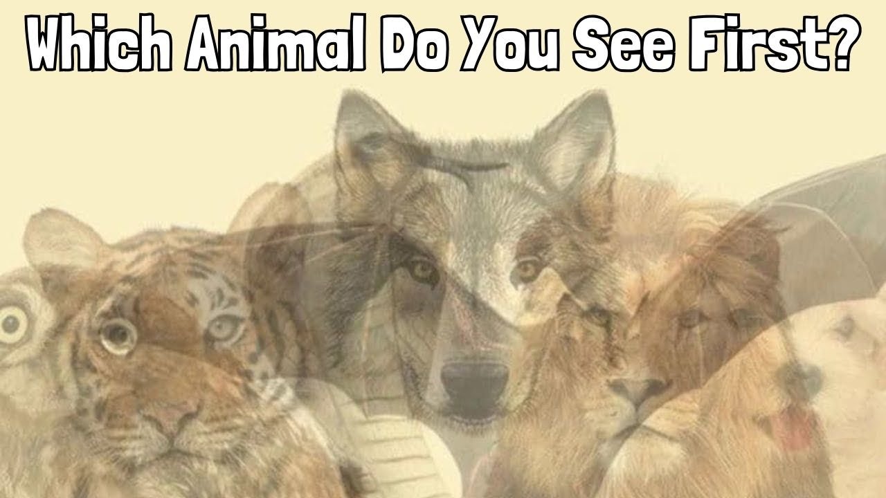 See Which Animal You Spot First and What It Reveals about You! - YouTube