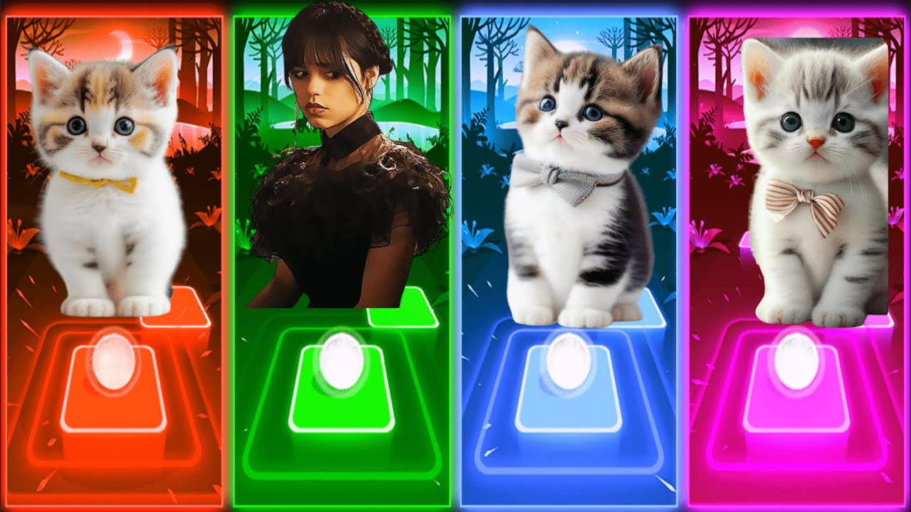 BTS DYNAMITE CUTE CAT vs WEDNESDAY BLOODY MARY vs WAKA WAKA vs CUTE ...