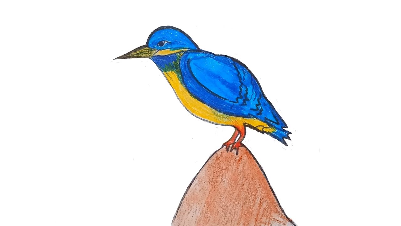 মাছরাঙা আঁকা / how to draw kingfisher / easy kingfisher / machranga ...